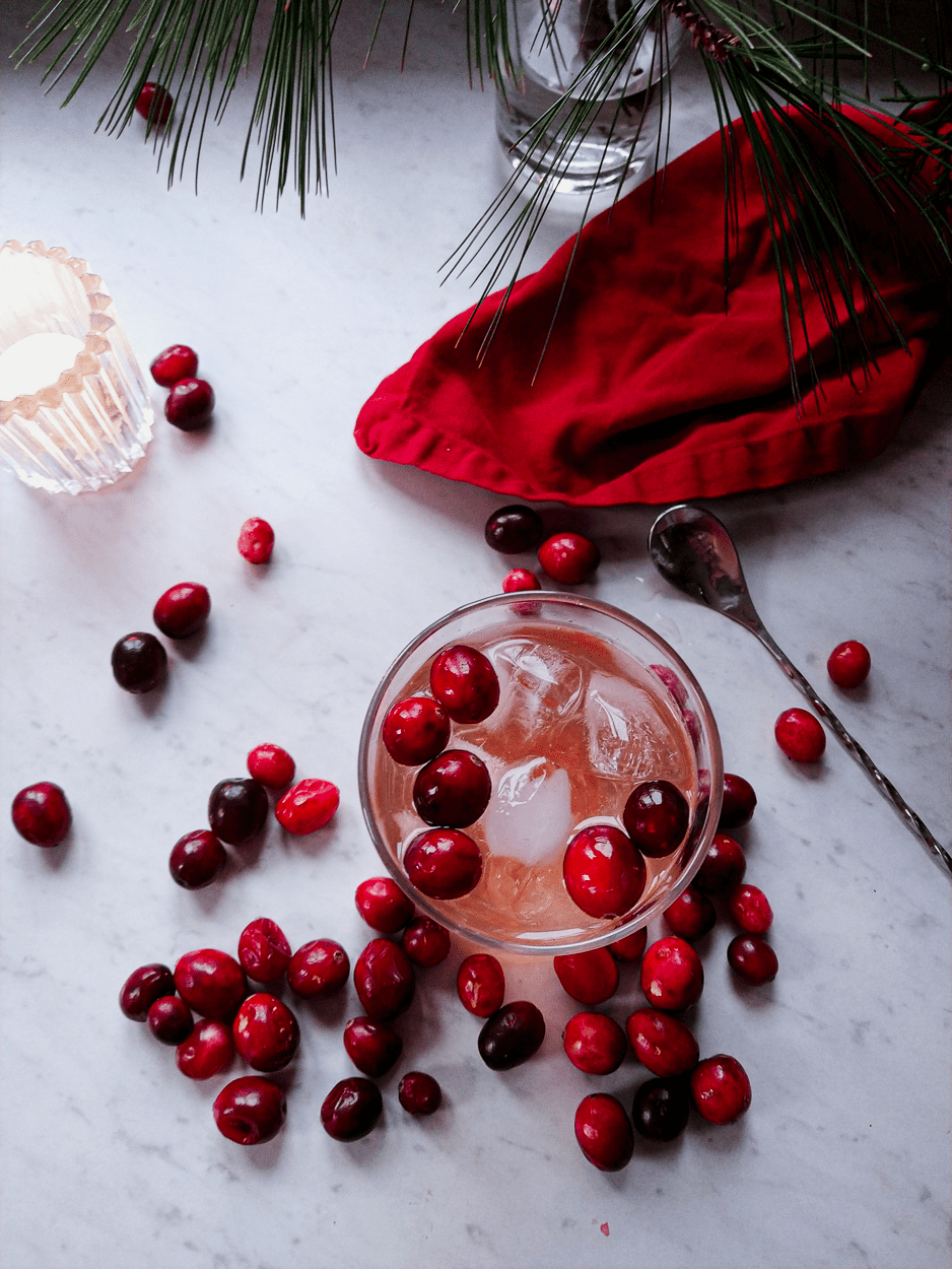 Festive Fridays: Sugar Plum Cocktail & Citrus Pine Mocktail - Enchanted ...